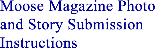 Moose - The Family Fraternity