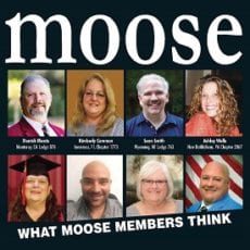 Moose News | Moose International